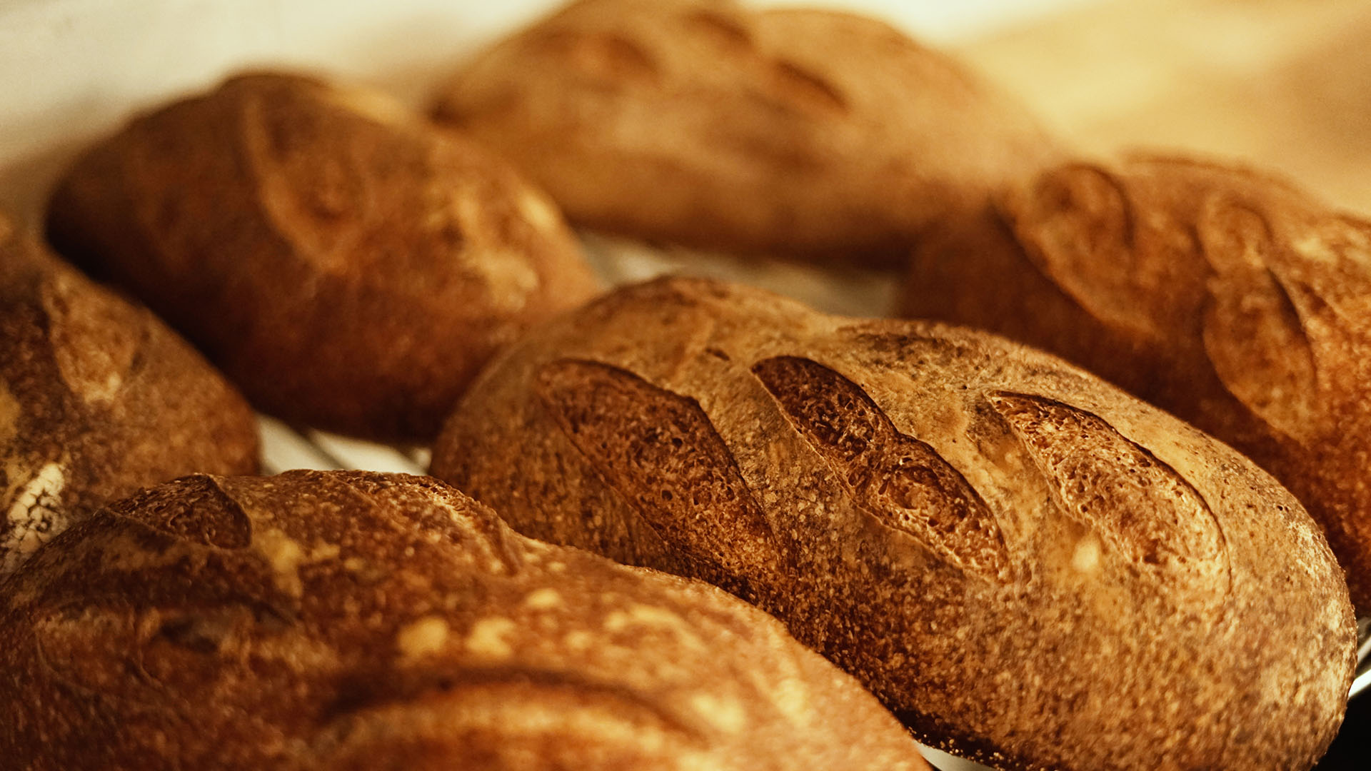 Artisan Bakery & Wood-Fired Pizzeria | Church Street Bakery